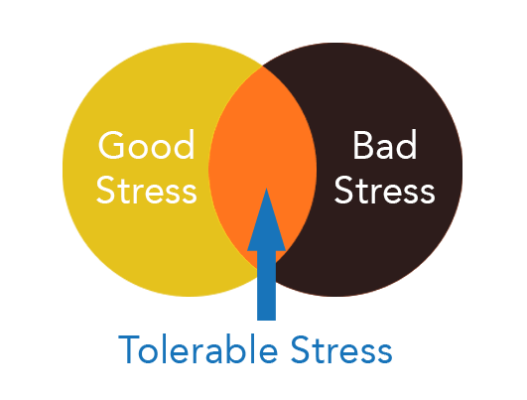 The Spectrum of Stress in Special Needs Children – Carteret, NJ